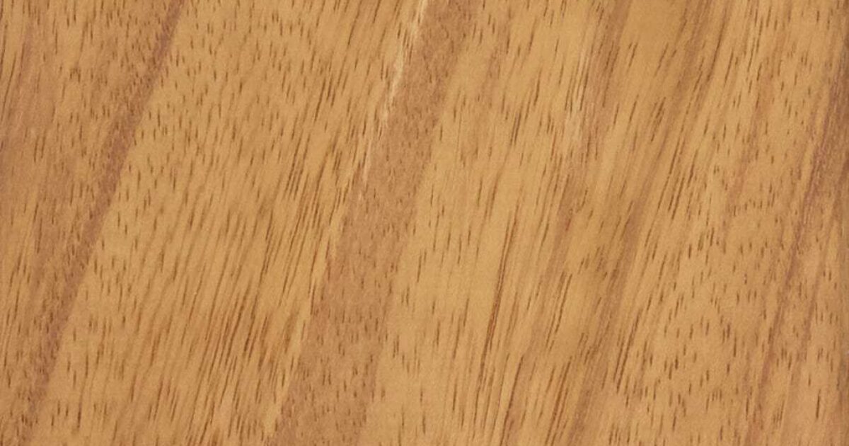 Iroko | JSC NZ Supplier