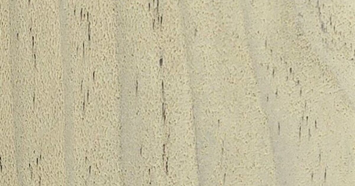 JSC Scumble® Frost on MicroPro treated Radiata Pine | JSC Scumble®…