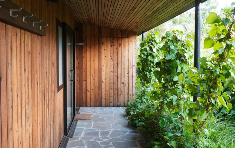 MicroPro® Treated Nordic Pine | JSC NZ Supplier