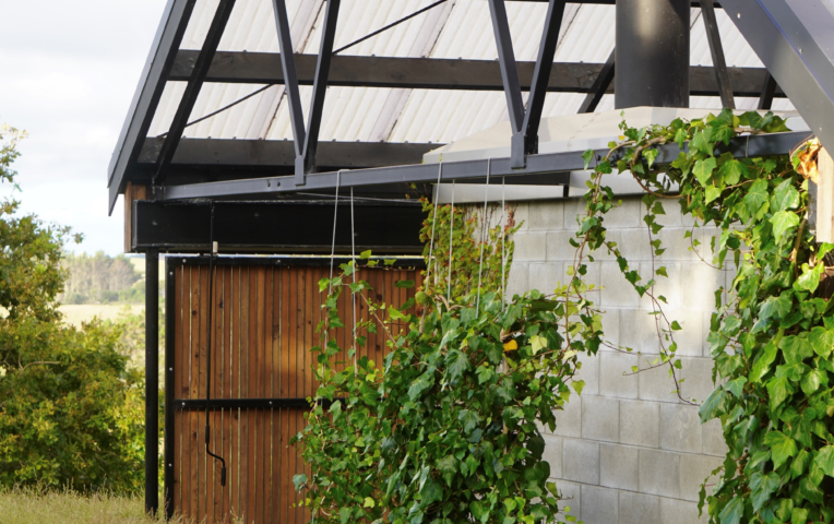 Rustic Cedar | JSC NZ Supplier