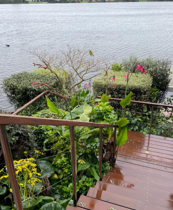 Lake House at Lake Pupuke Project Showcase | JSC